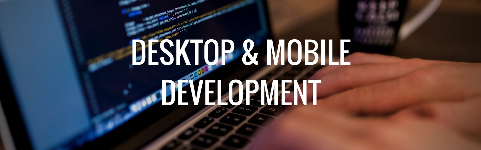 Software Development: Desktop and Mobile Programming | Professional ...